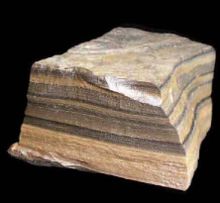 Skalie - Bladsye [1] - Wêreld ensiklopediese kennis