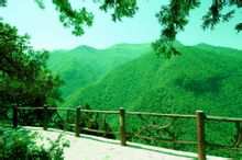 Globale omgewingskwessies - Bladsye [1] - Wêreld ensiklopediese kennis