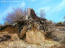 Agteruitgang van die omgewing - Bladsye [1] - Wêreld ensiklopediese kennis