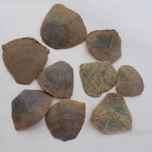 Ietermago - Bladsye [4] - Wêreld ensiklopediese kennis