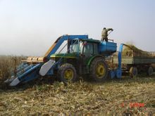 Koring stroper - Bladsye [2] - Wêreld ensiklopediese kennis