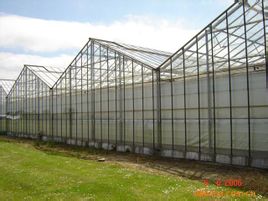 Broeikas - Bladsye [4] - Wêreld ensiklopediese kennis