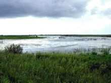 Vleilande - Bladsye [1] - Wêreld ensiklopediese kennis