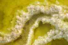 Swael - Bladsye [1] - Wêreld ensiklopediese kennis