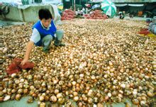 Nitraat - Bladsye [1] - Wêreld ensiklopediese kennis