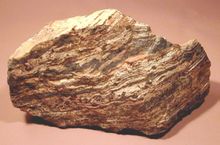 Stollingsgesteentes - Bladsye [1] - Wêreld ensiklopediese kennis