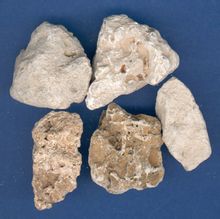 Calcitum - Bladsye [1] - Wêreld ensiklopediese kennis