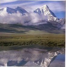 Toendra - Bladsye [2] - Wêreld ensiklopediese kennis