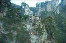 Biologiese verwering - Bladsye [1] - Wêreld ensiklopediese kennis