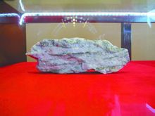 Goud erts - Bladsye [1] - Wêreld ensiklopediese kennis