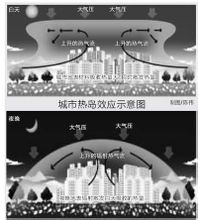 Stedelike hitte-eiland - Bladsye [1] - Wêreld ensiklopediese kennis