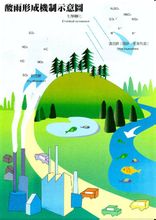 Suurreën - Bladsye [2] - Wêreld ensiklopediese kennis