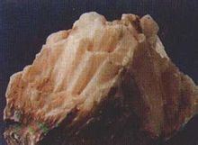 Calcitum - Bladsye [1] - Wêreld ensiklopediese kennis