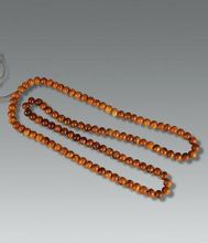 Tiger - Bladsye [3] - Wêreld ensiklopediese kennis