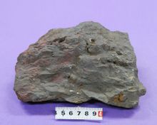 Skalie - Bladsye [1] - Wêreld ensiklopediese kennis