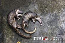 Ietermago - Bladsye [1] - Wêreld ensiklopediese kennis