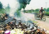 Vullis besoedeling - Bladsye [1] - Wêreld ensiklopediese kennis