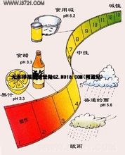 Suurreën - Bladsye [3] - Wêreld ensiklopediese kennis
