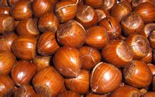 Neute - Bladsye [1] - Wêreld ensiklopediese kennis