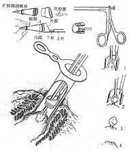 Aambeie - Bladsye [5] - Wêreld ensiklopediese kennis