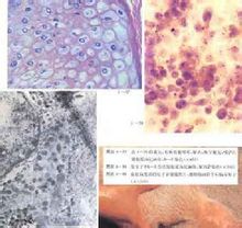 Pokke - Bladsye [1] - Wêreld ensiklopediese kennis