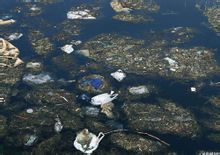 Waterbesoedeling - Bladsye [4] - Wêreld ensiklopediese kennis