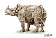 Renosters - Bladsye [2] - Wêreld ensiklopediese kennis