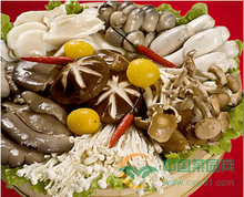 Swam - Bladsye [1] - Wêreld ensiklopediese kennis