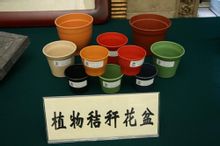 Strooi blompot - Bladsye [1] - Wêreld ensiklopediese kennis