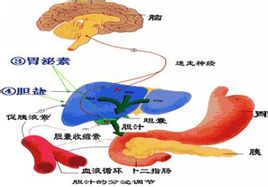 TBA - Bladsye [1] - Wêreld ensiklopediese kennis