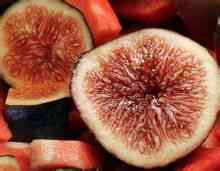 Vyeboom - Bladsye [1] - Wêreld ensiklopediese kennis