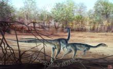 Archosaurs - Bladsye [1] - Wêreld ensiklopediese kennis