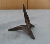 Doringdraad - Bladsye [1] - Wêreld ensiklopediese kennis