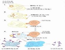 Liggaamsvloeistof - Bladsye [2] - Wêreld ensiklopediese kennis