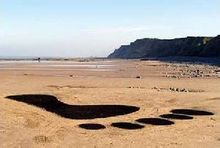 Koolstof-voetspoor - Bladsye [2] - Wêreld ensiklopediese kennis