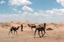 Woestyn klimaat - Bladsye [1] - Wêreld ensiklopediese kennis