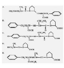 Medisinale chemie - Bladsye [1] - Wêreld ensiklopediese kennis