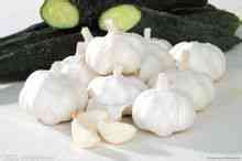 Knoffel - Bladsye [4] - Wêreld ensiklopediese kennis