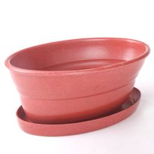 Strooi blompot - Bladsye [1] - Wêreld ensiklopediese kennis