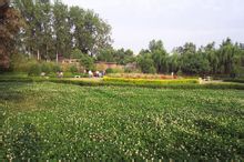 Henan Normal University - Bladsye [2] - Wêreld ensiklopediese kennis