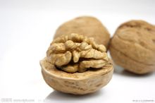 Neute - Bladsye [1] - Wêreld ensiklopediese kennis