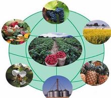 Volhoubare Landbou - Bladsye [1] - Wêreld ensiklopediese kennis