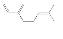 Myrcene - Bladsye [1] - Wêreld ensiklopediese kennis
