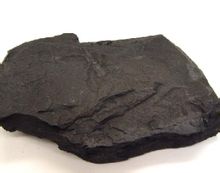 Skalie - Bladsye [1] - Wêreld ensiklopediese kennis