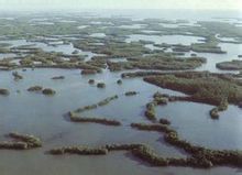 Vleilande - Bladsye [1] - Wêreld ensiklopediese kennis