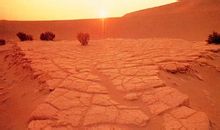 Suurreën - Bladsye [4] - Wêreld ensiklopediese kennis