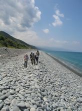 Sedimentêre gesteentes - Bladsye [3] - Wêreld ensiklopediese kennis