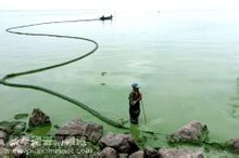 Water blom - Bladsye [1] - Wêreld ensiklopediese kennis