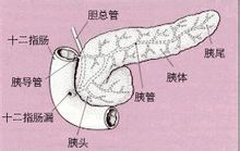 Kliere - Bladsye [1] - Wêreld ensiklopediese kennis