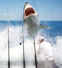 Visvang - Bladsye [1] - Wêreld ensiklopediese kennis